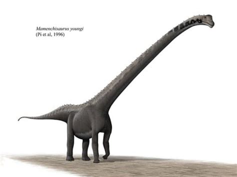 Mamenchisaurus A Giant Sauropod Of Late Jurassic Asia