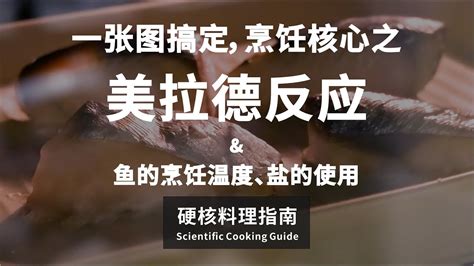 硬核烹饪指南02期：一张图搞定美拉德反应，及鱼的烹饪温度、盐的使用maillard Reaction 《hardcore Cooking Guide 02》 Youtube