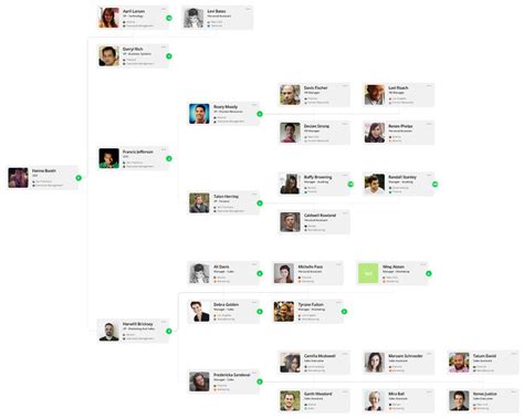 The Best Org Chart Layouts And How To Pick The Right One