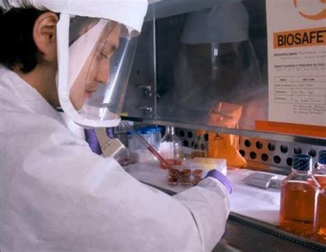 What Are Recombinant Vaccines And How Do They Work Smore Science