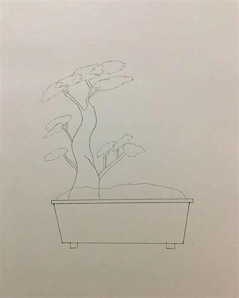 How To Draw A Bonsai Tree Easy Step By Step Guide