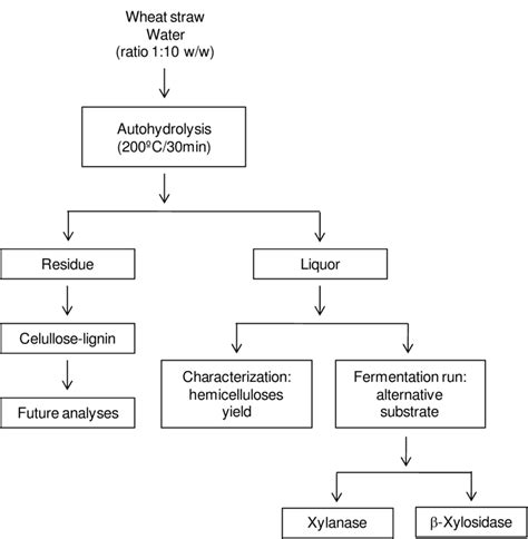 Shows A Scheme For The Production Of Wheat Straw Autohydrolysis Liquor Download Scientific