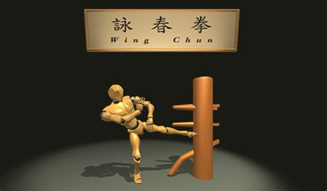 Wing Chun Trainer App