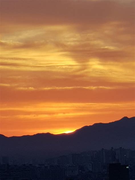 해가 나올듯말듯 해 인스티즈 Instiz 일상 카테고리