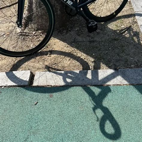 Constantine Classicfixie 콘스탄틴디스페랄콘스탄틴디스페랄프레임셋 On Bunjang Global Site