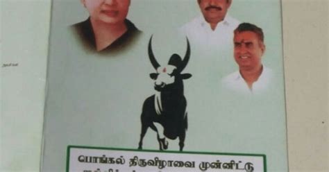 கோவை ஜல்லிக்கட்டு விழா அழைப்பிதழில் ஓ பி எஸ் படம் புறக்கணிப்பு அ தி மு க எம் எல் ஏ வருத்தம்