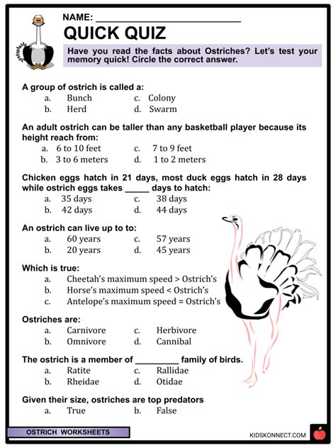 Ostrich Worksheets And Facts Features Habitat Diet Uses