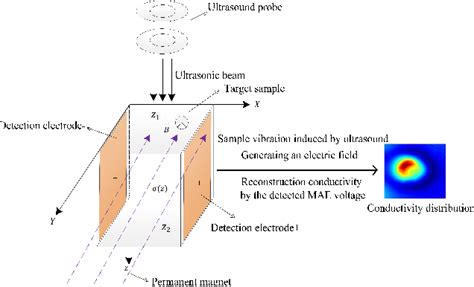 Figure 1 From A B Scan Imaging Method Of Conductivity Variation Detection For Magnetoacousto