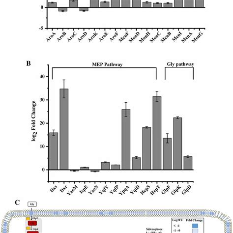 A B Transcriptional Expression Levels Of Mk 7 Pathway Related Genes C Download Scientific