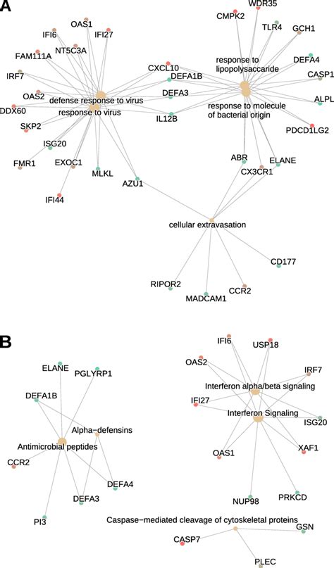 Network Plots Of Enriched Terms Following The Blueberry Download Scientific Diagram