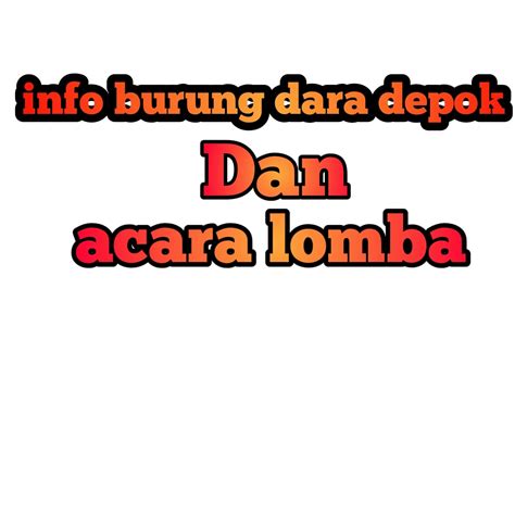 Info Burung Dara Depok Dan Sekitarannya