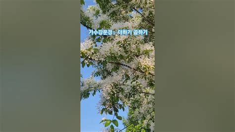 가수강문경 더하기 곱하기 응원합니다 Youtube