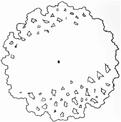 How To Draw Trees In Plan Ornamental Deciduous Hand Drafting Series DRAFTSCAPES