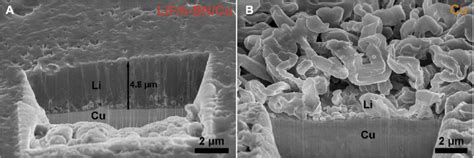 Sem Characterization Of Cross Section Morphologies Of Electrochemically