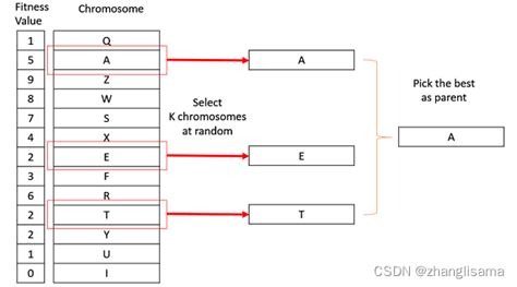 遗传算法原理及其在车辆路径规划中的应用车辆路径问题遗传算法 Csdn博客