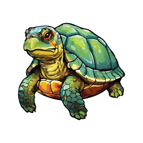 التوضيح النواقل السلحفاة ناقلات السلاحف التوضيح السلحفاة سلحفاة