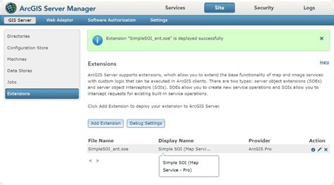 Audit Requests In SOIs ArcGIS Enterprise SDK