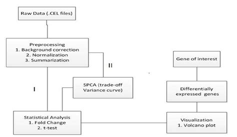 work flow for a microarray data analysis download scientific diagram