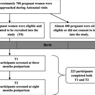 A Flow Chart Illustrating The Follow Up Process Download Scientific Diagram
