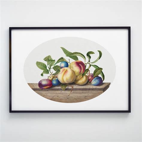 Постер Вільям Морріс Купити плакат в Україні