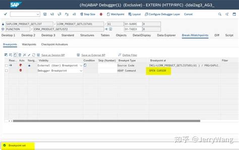 通过具体的两个例子，学习 Abap 动态断点的使用诀窍试读版 知乎