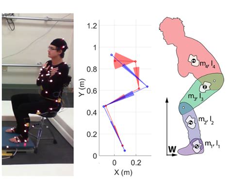 Ucb Hart Lab Human Kinematic And Dynamic Modeling