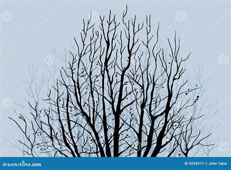 Bare Tree Limbs Stock Vector Illustration Of Element 9298977