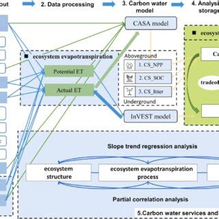The Workflow Of The Study Download Scientific Diagram
