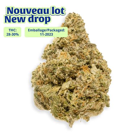 Découvrez Le Super Jack Herer Citronné Énergie Terpinolène Bleuh