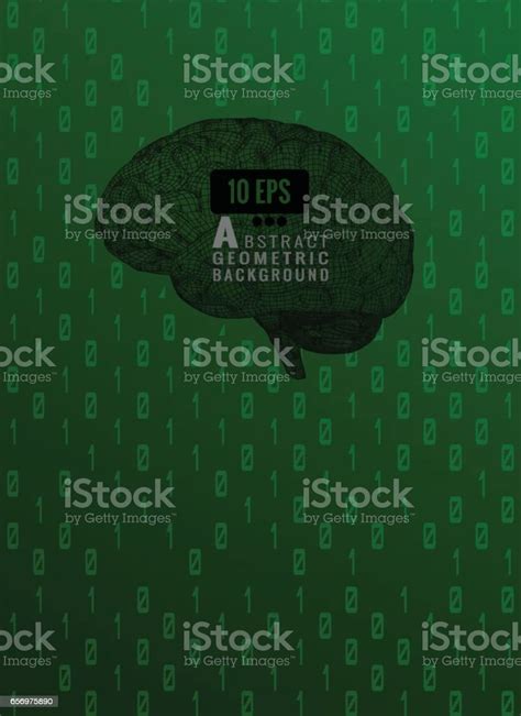 이진 숫자 텍스트 Bg와 녹색 와이어 프레임 뇌 3차원 형태에 대한 스톡 벡터 아트 및 기타 이미지 3차원 형태 개념과 주제 교육 Istock