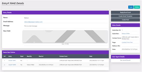 Viewing Form Entries Pee Aye Creative