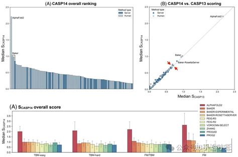 Alphafold2的结果、架构与创新：2024年谁该的诺奖？ 知乎