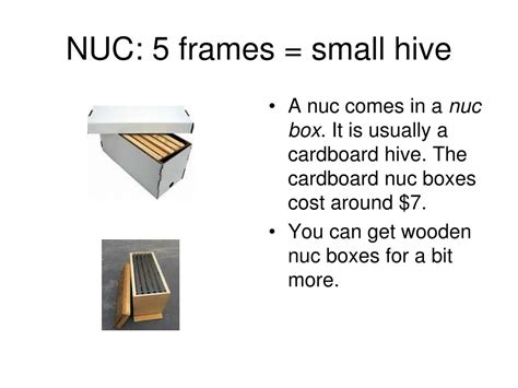 Ppt Apprentice Beekeeper Class Powerpoint Presentation Free Download