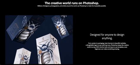 Wireframe Vs Mockup Vs Prototype What Is The Difference JustCoded
