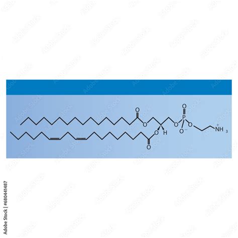 Diagram Showing Schematic Molecular Structure Of Phosphatidylethanolamine Blue Scientific Vector