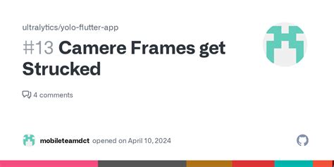 Camere Frames Get Strucked · Issue 13 · Ultralyticsyolo Flutter App