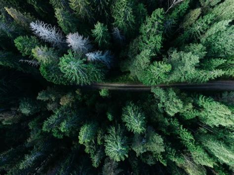 supervised classification in gee life in gis