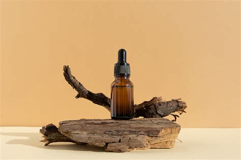 히알루 론산이 든 진한 호박색 유리 병 또는 베이지 색 배경의 마른 가지 근처의 얼굴 혈청 유기 성분을 가진 개념 천연 화장품