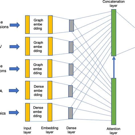 Deep Neural Network Architecture Combining Different Omics Data Gene
