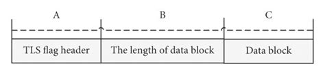 The Format Of The Disguised Tls Packet Download Scientific Diagram