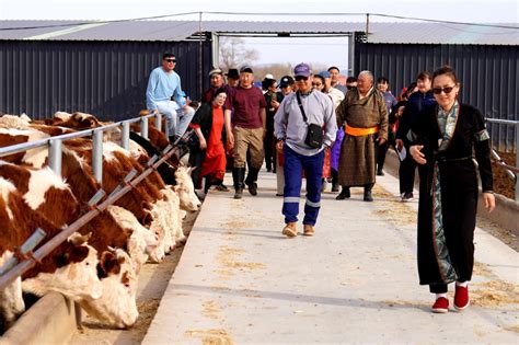 Дорнод аймгийн Дорнод аймгийн Хүнс хөдөө аж ахуйн газар