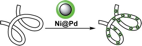 Scheme 2 Preparation Of The Nipdcnt Nanocatalyst Download Scientific Diagram