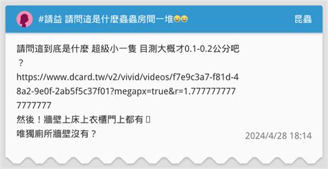 請益 請問這是什麼蟲蟲房間一堆😭😭 昆蟲板 Dcard