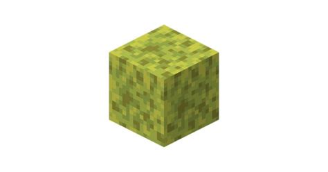 How To Make A Sponge In Minecraft A Simple Guide