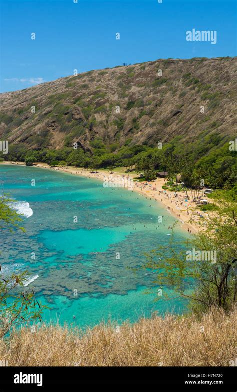 Honolulu Hawaii Oahu Famous Reef At Hanauma Bay Coral From Above