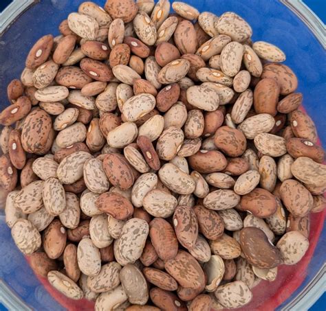 Recipe Search Pinto Beans Cooking Forum At Permies