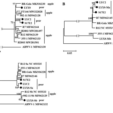 Unrooted Nj Phylogenetic Trees Generated From The Nucleotide Sequences