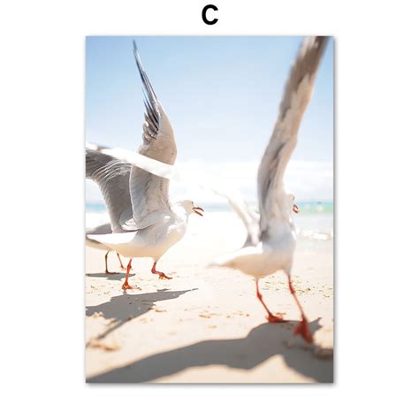 โปสเตอร์ภาพวาดผ้าใบ รูปเปลือกหอย นกนางนวล สไตล์นอร์ดิก สําหรับตกแต่งผนัง ห้องนั่งเล่น Shopee