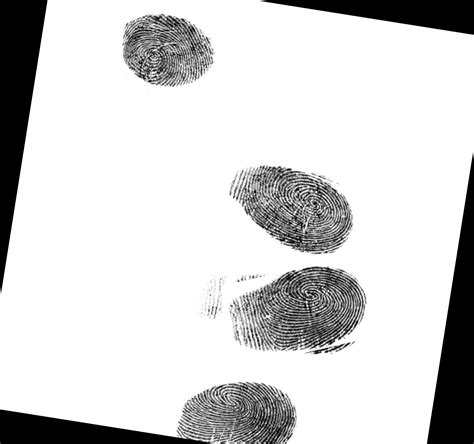 Fingerprint Detection Roboflow Universe