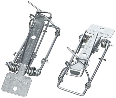 5 Best Gopher Traps In 2025 [detailed Reviews]
